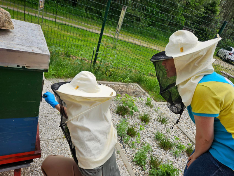 Apiterapija Domžale, Osrednja Slovenija - Gospodična Medična