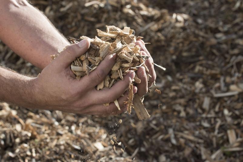 Odkup sekancev Pomurje - Matej Klement