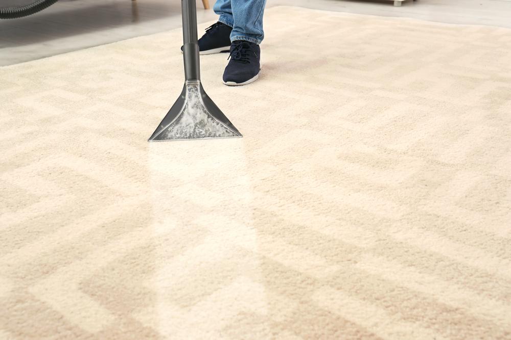 Čiščenje apartmajev in sob Bohinjska Bistrica, Bohinj, Bled, Gorenjska - Gojko Zdravković